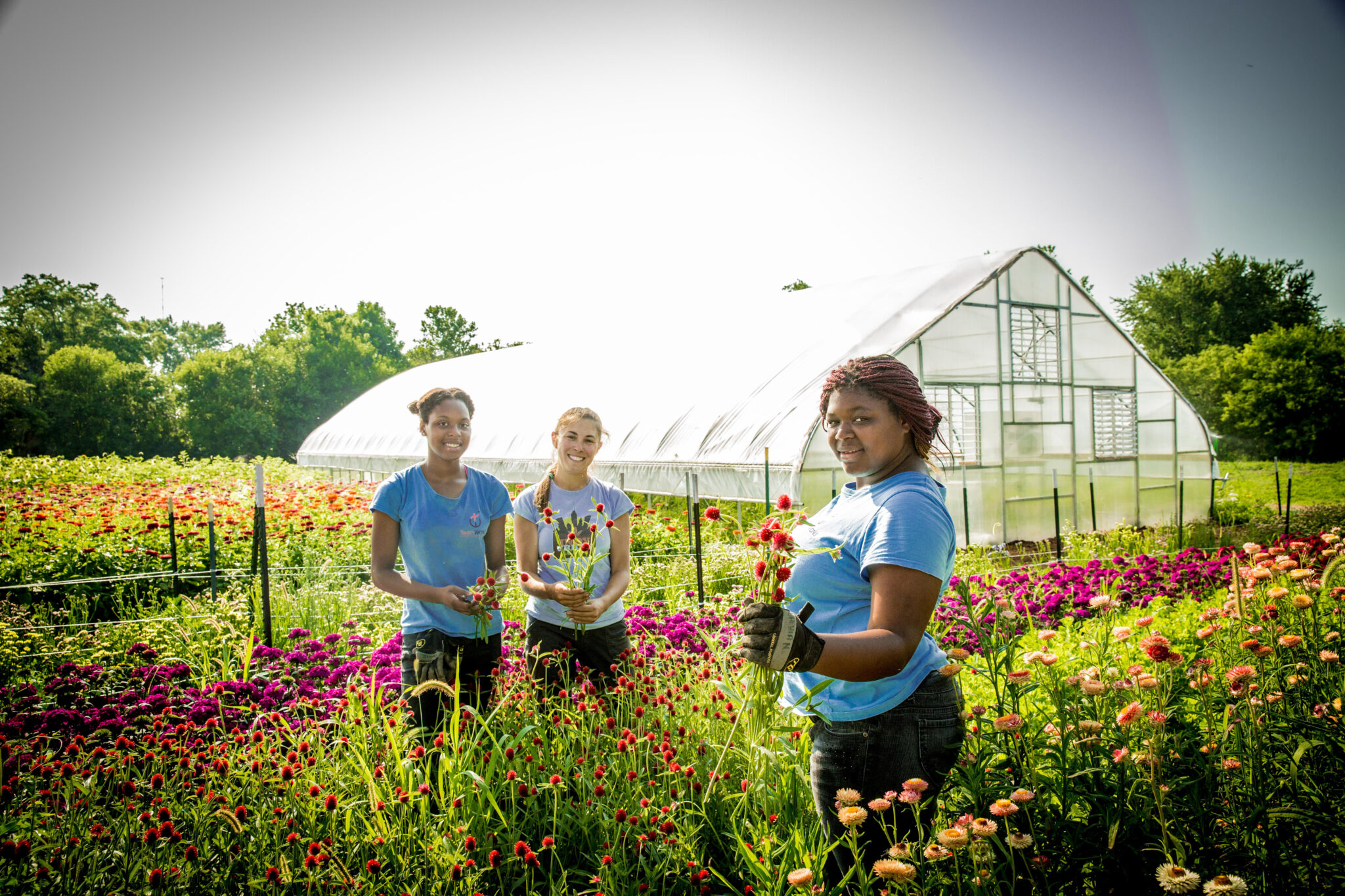 What We Do - Central Indiana Community Foundation